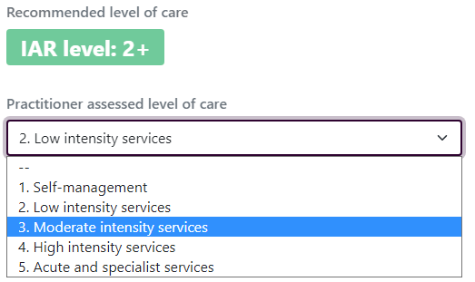 Delivering intake and assessment - PMHCIS Intake Module Documentation